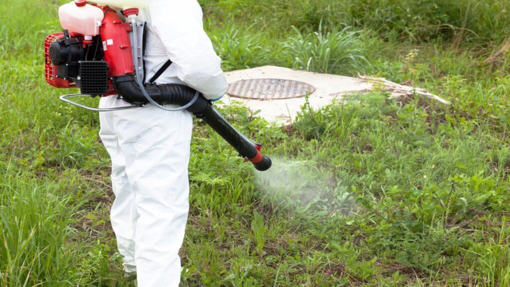 Why Pest Control Is Crucial In New Construction - Build Magazine