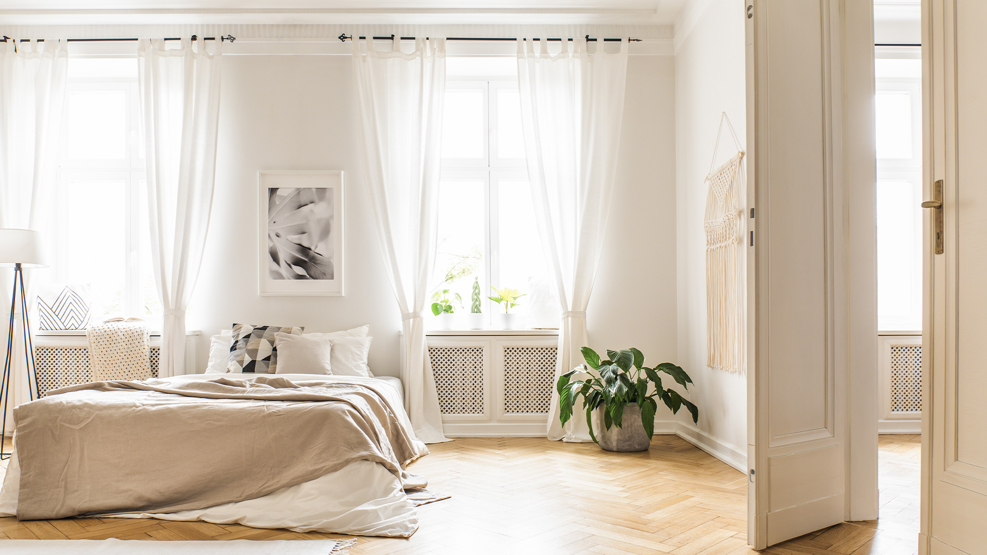 The Best Ways to Invite More Natural Light Into the Home - BUILD Magazine