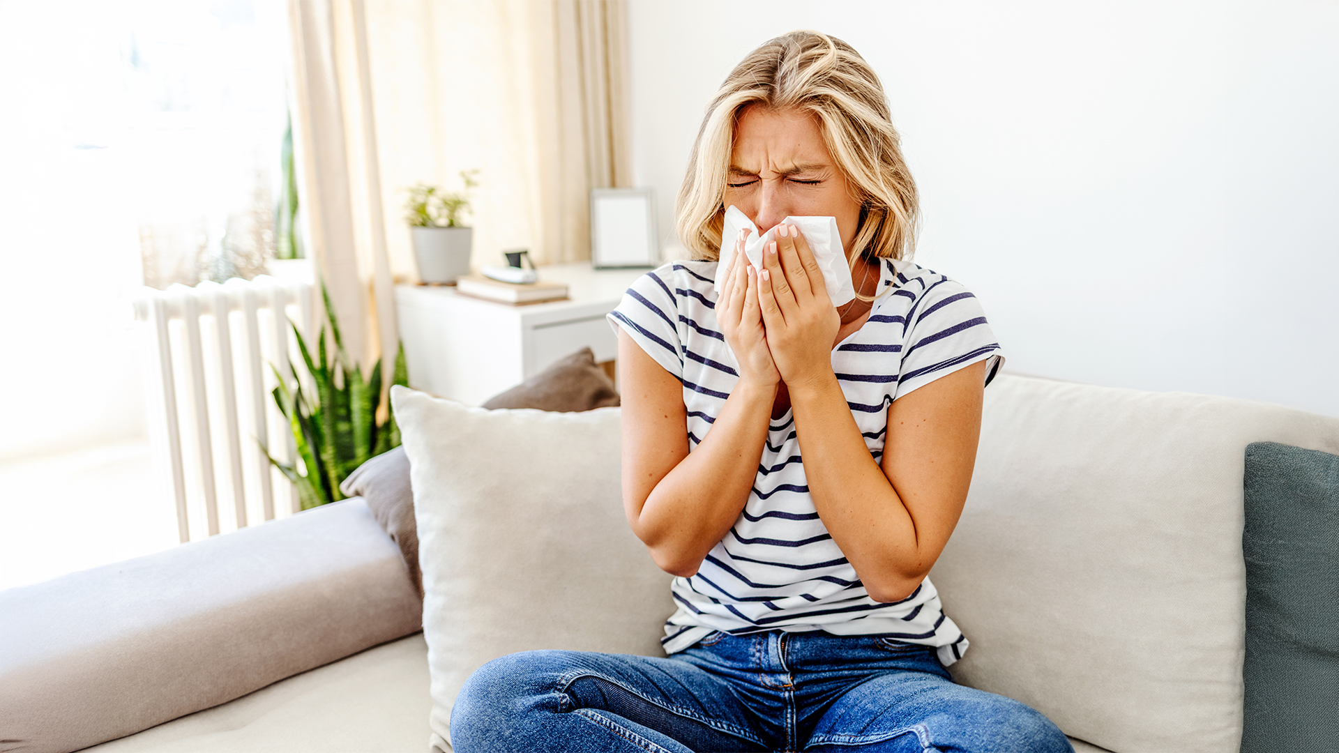 Essential Cleaning Tips to Help Hay Fever Sufferers Minimise Symptoms ...