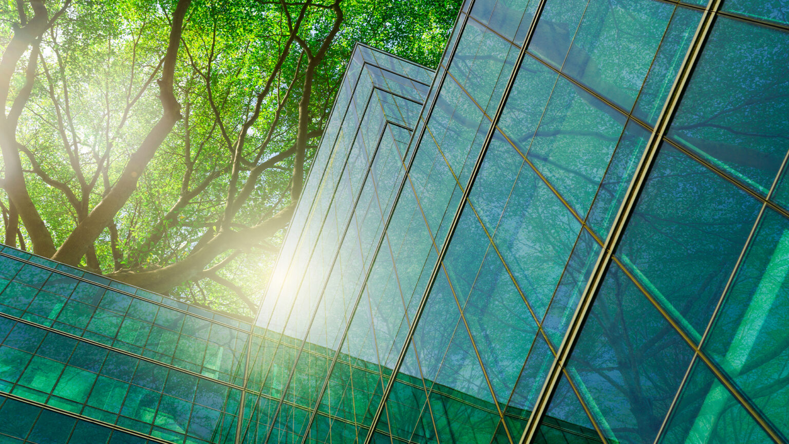 Building a Greener Future: How the Construction Industry Can be Made ...