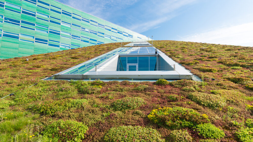 Is Your Roof Ready to Go Green? Expert Shares 6 Signs Your Home Could ...