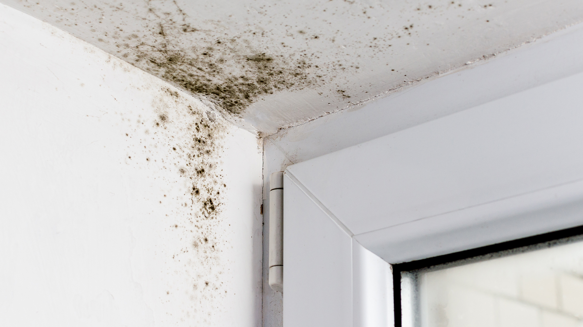 Cleaning Expert Urges Brits to “Keep Their Kitchen Doors Shut”To ...